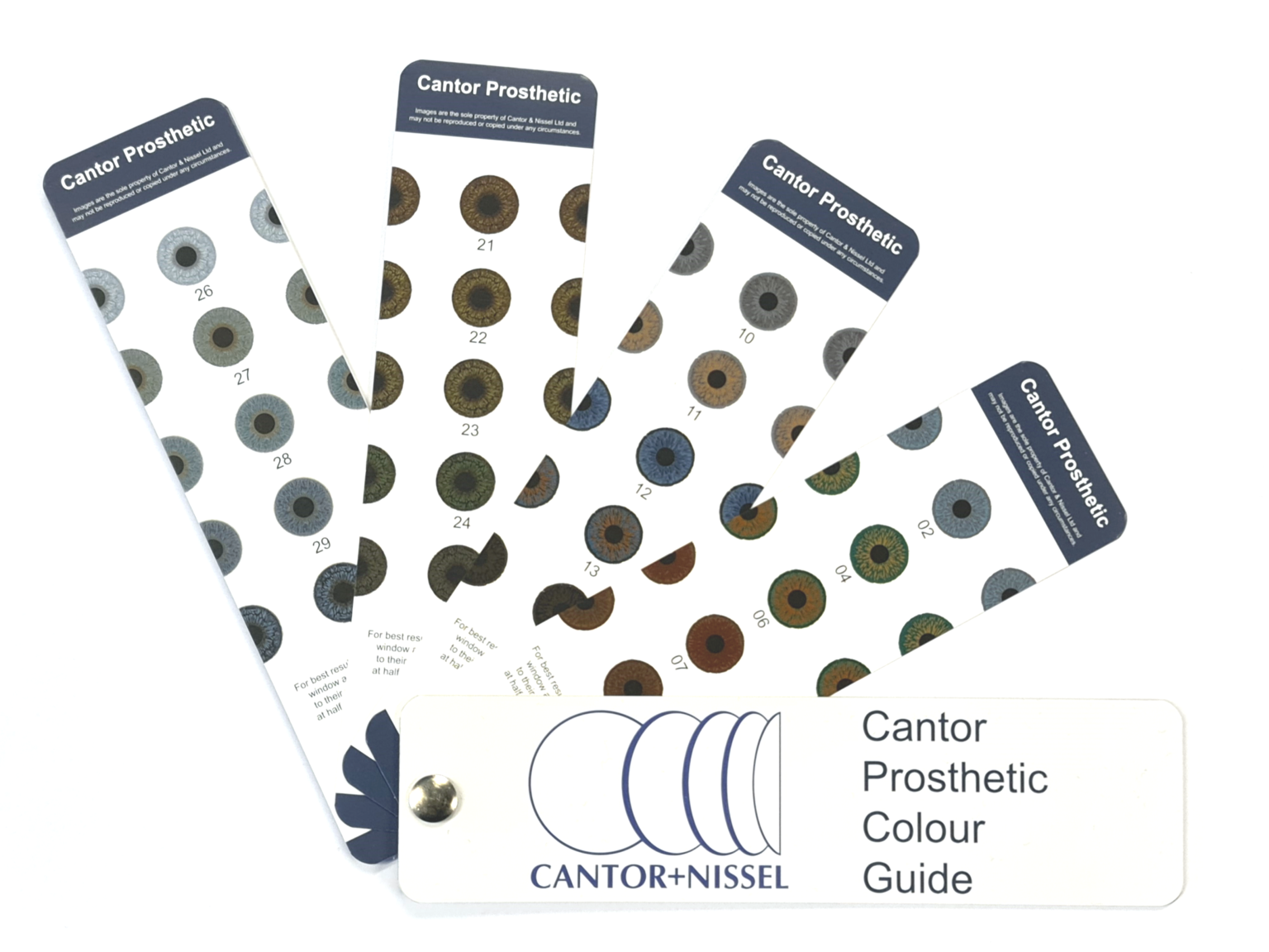 Cantor Prosthetic – ProCornea